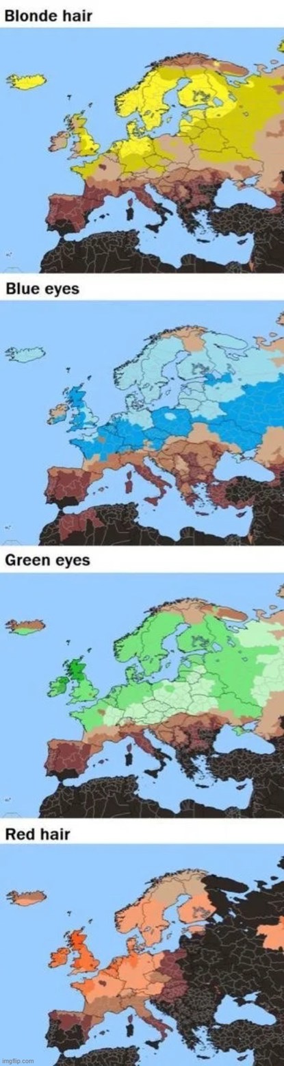 The Latest Memes :) Memedroid