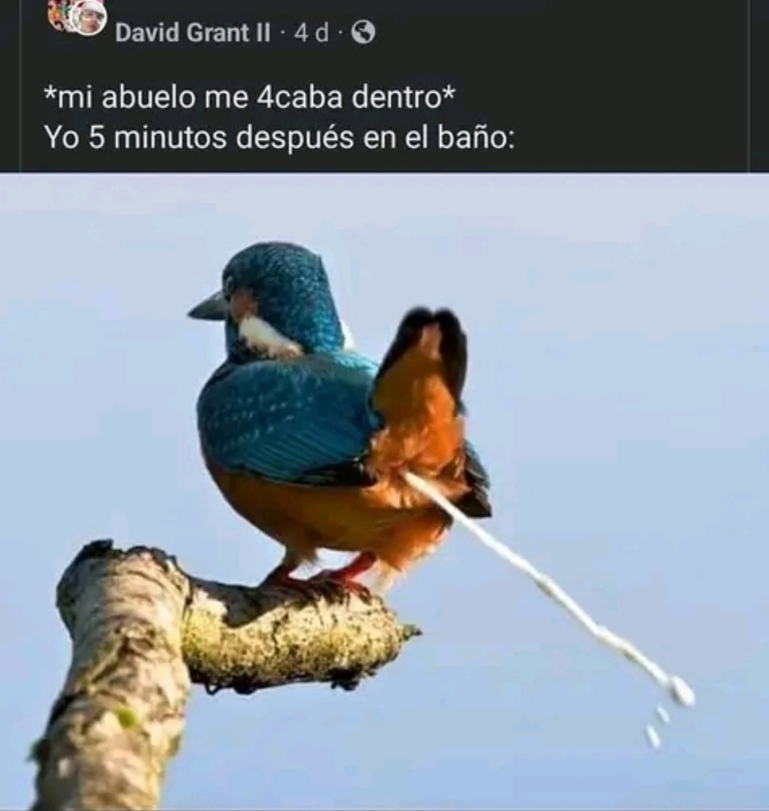 Momento xd - Meme subido por Akatsuki :) Memedroid