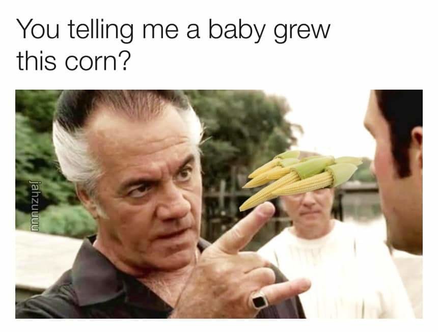 Latest memes / New memes :) Memedroid