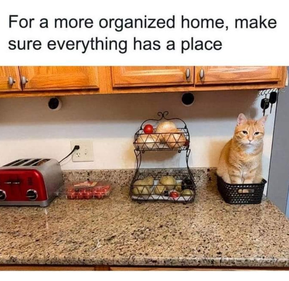 The best Organization memes :) Memedroid