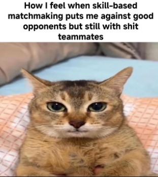 The best Why memes :) Memedroid