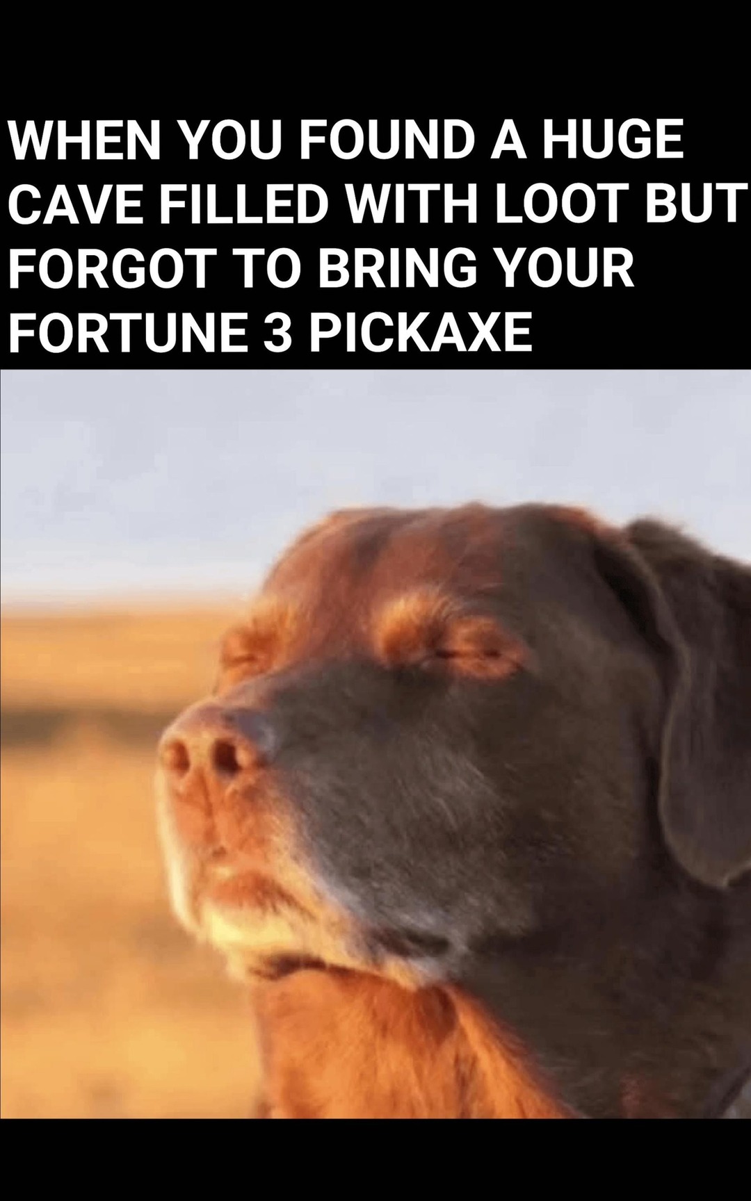 The Best Funny Minecraft Memes :) Memedroid