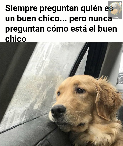 Memes Perrito Esperando