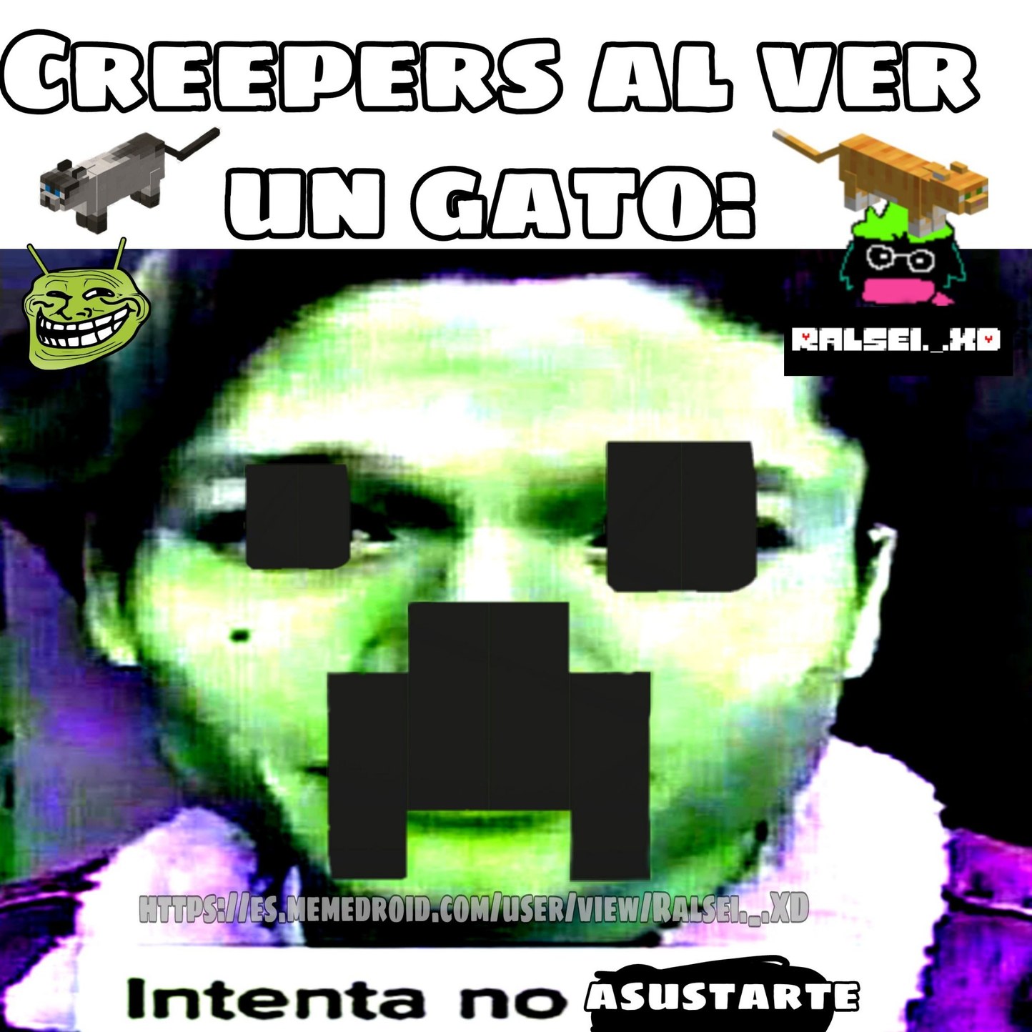 Top memes de gato en español :) Memedroid