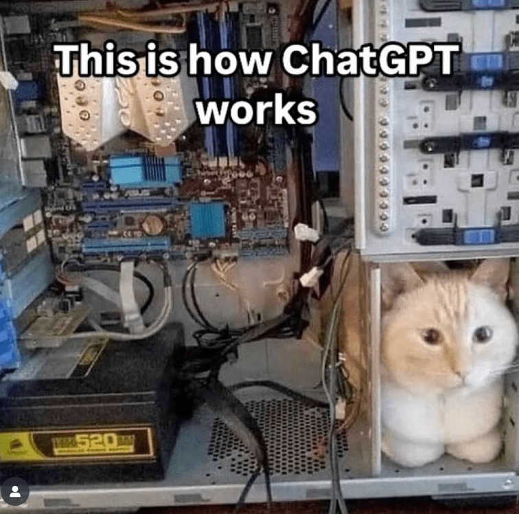 The best Chatgpt memes :) Memedroid