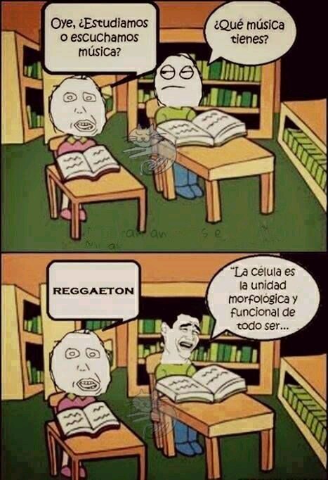 Y así conseguí mi doctorado - Meme subido por ElvioLado_ :) Memedroid