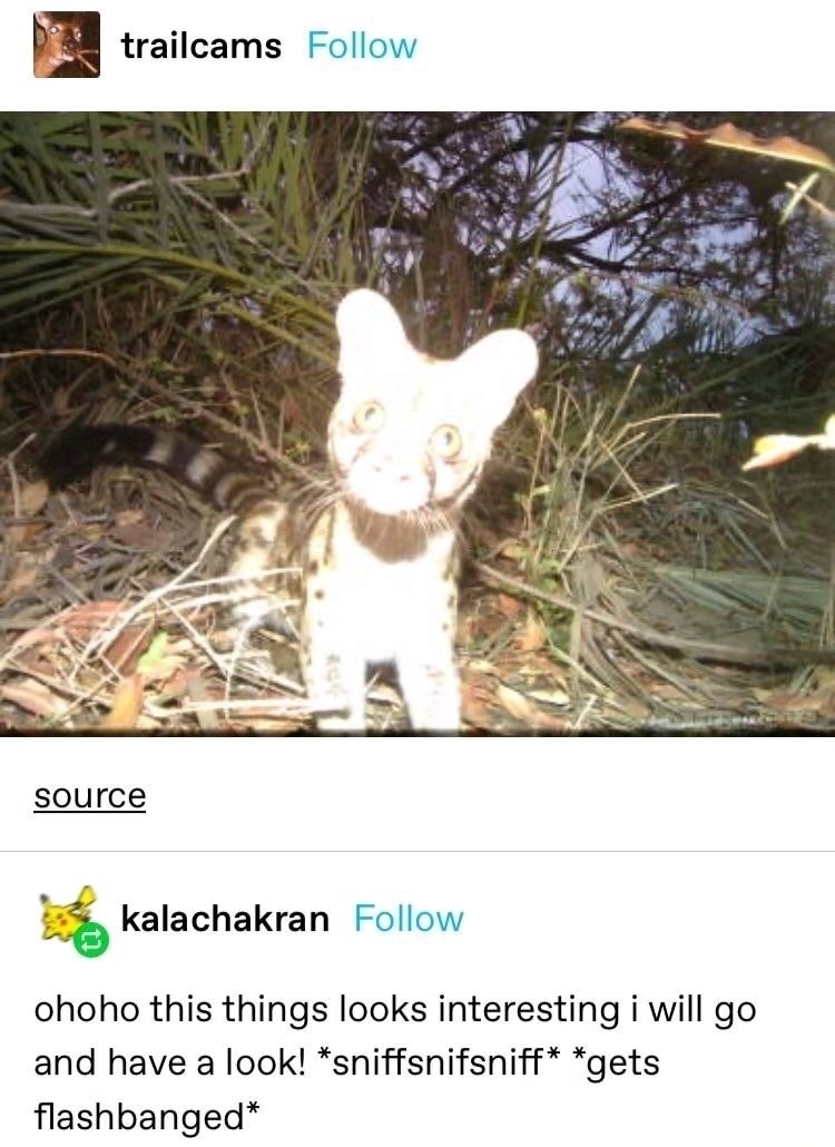 Cod lobbies at the start - Meme by AlphaGearBoy :) Memedroid