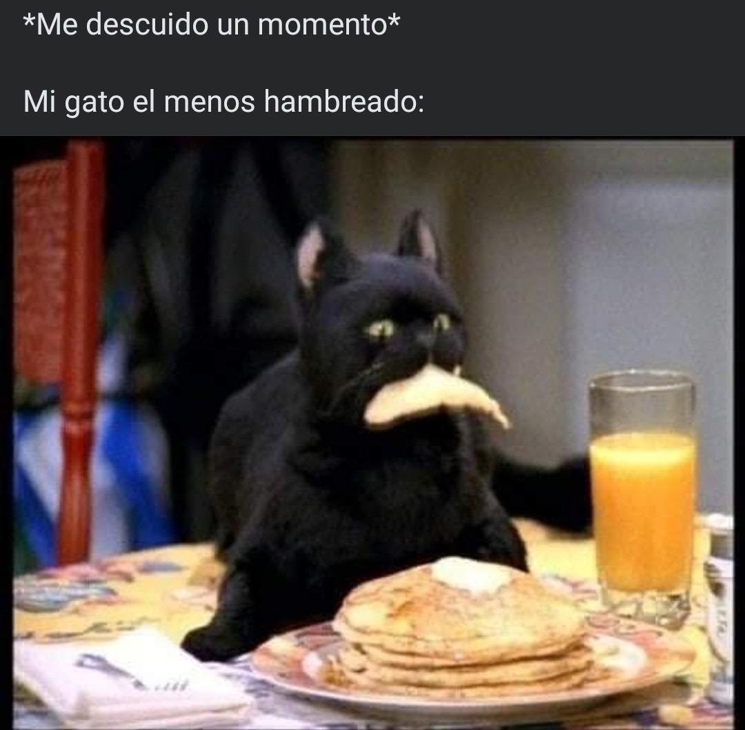 Los Últimos Memes :) Memedroid