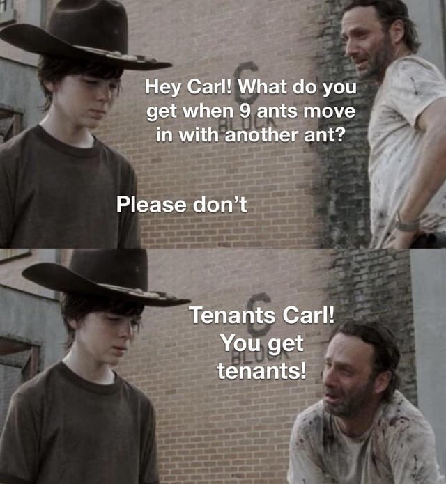 The best Ants memes :) Memedroid