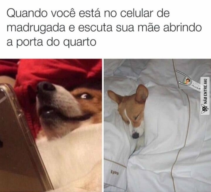 Itis verded - Meme by JeffersonTK :) Memedroid