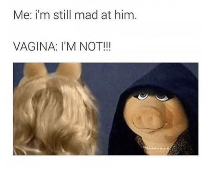 This is why they stay - Meme by AndySoshall :) Memedroid