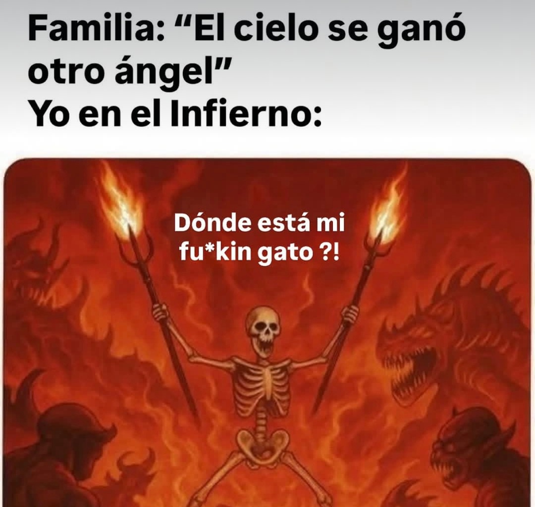 Top memes de Animales en español :) Memedroid