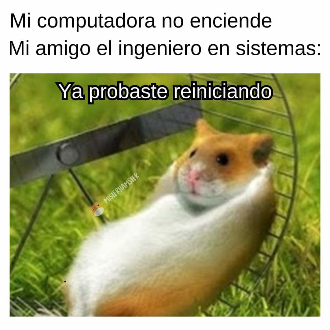Memes de Hamsters no.2 sistemas - Meme by wolschaldo :) Memedroid