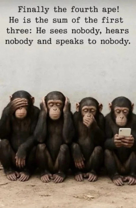 The best Ape memes :) Memedroid