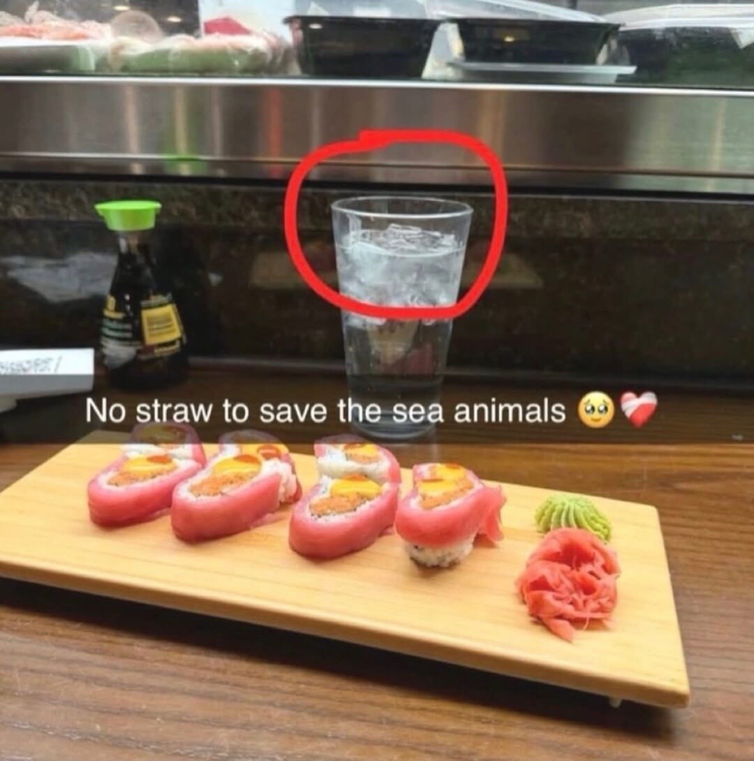 The best Sea Animals memes :) Memedroid