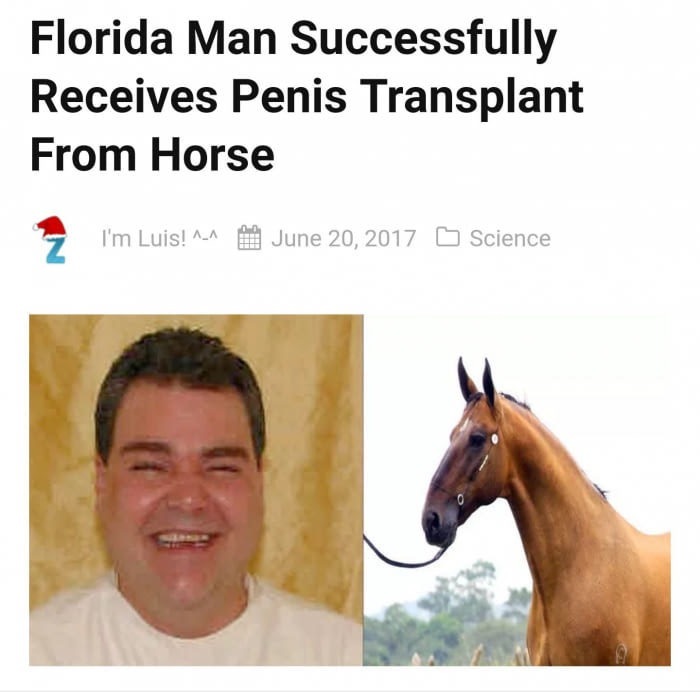 Oki - Meme by MeMephobia :) Memedroid