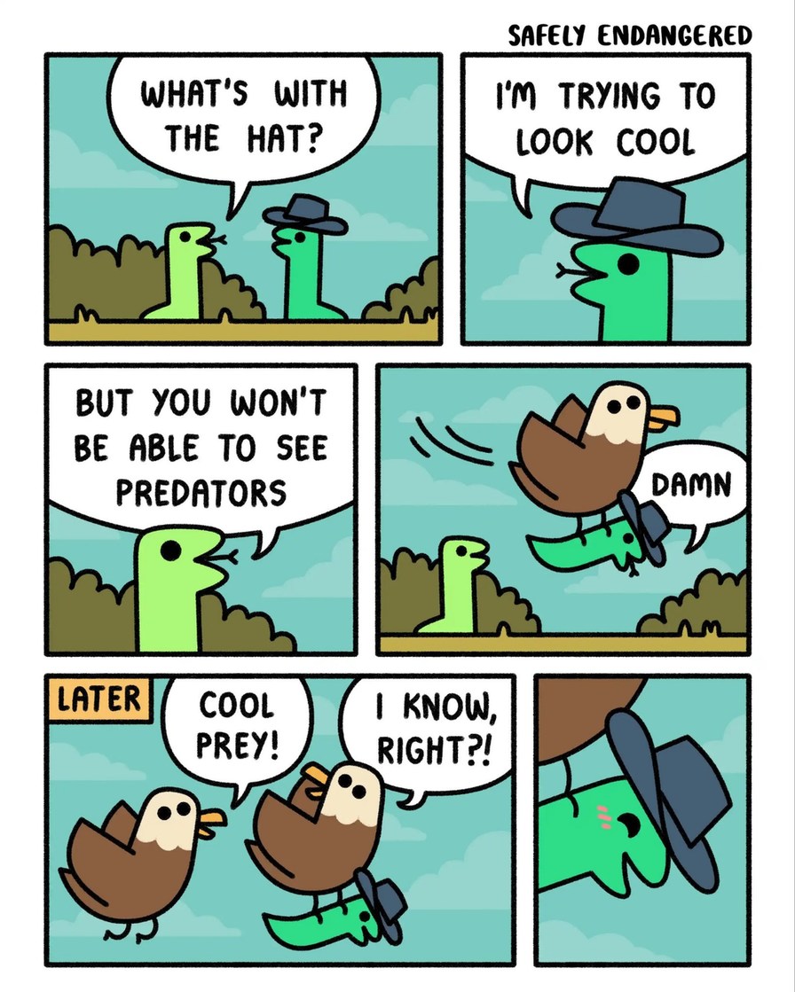 The best Hat memes :) Memedroid