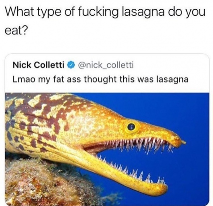 Wholesome lasaga - Meme by Moklman :) Memedroid