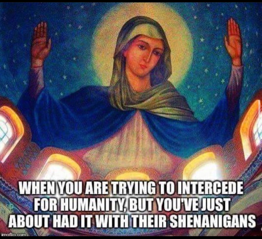 The Latest Memes :) Memedroid