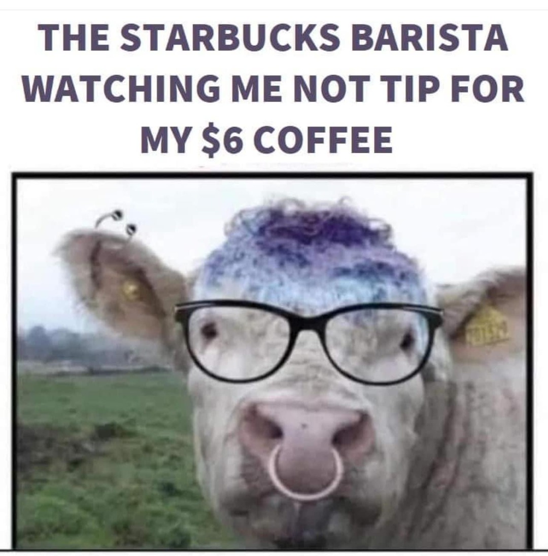 The best Starbucks memes :) Memedroid