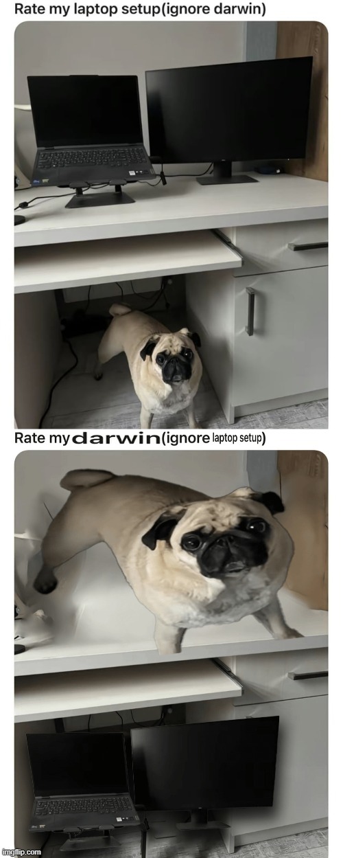 The best Setup memes :) Memedroid