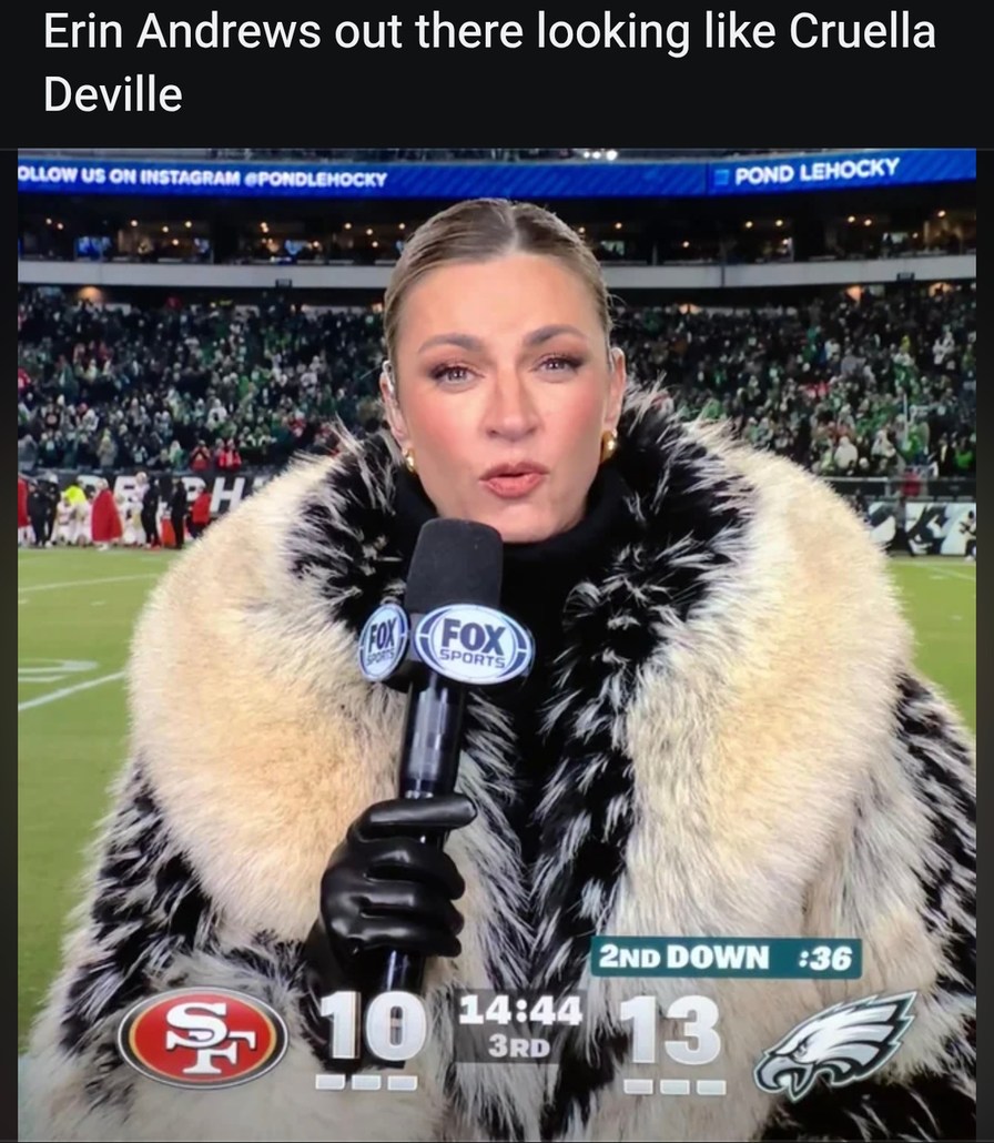 The best Erin Andrews memes :) Memedroid