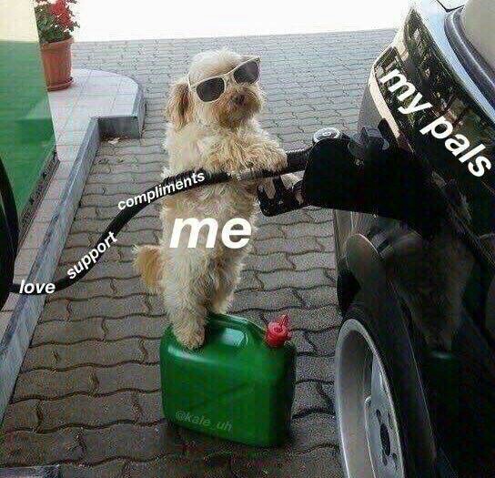 Cool doggo - Meme by Mod1 :) Memedroid