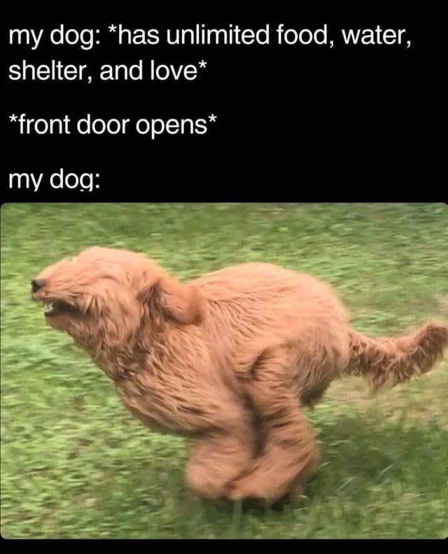 The best Freedom memes :) Memedroid