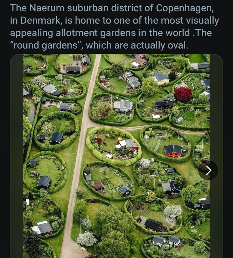 Green Oval Memes Make Memes Or Royalty Free Images With Paint 3D By