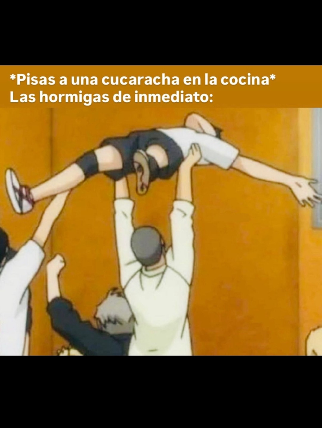 Top memes de Hormigas en español :) Memedroid