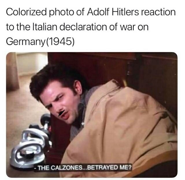 The best Hitler memes :) Memedroid