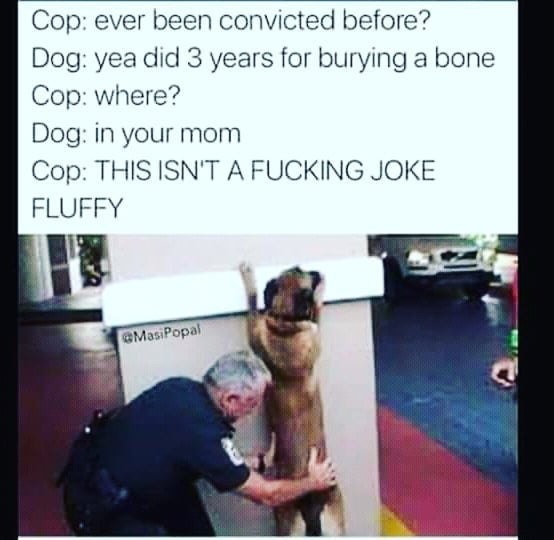 Fluffy - Meme by harwinsaggu :) Memedroid