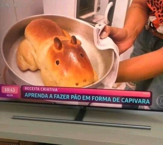 Top memes de capibara en español :) Memedroid