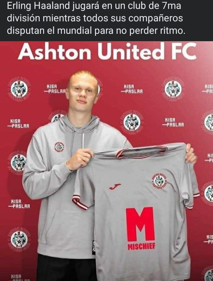 Los Últimos Memes :) Memedroid