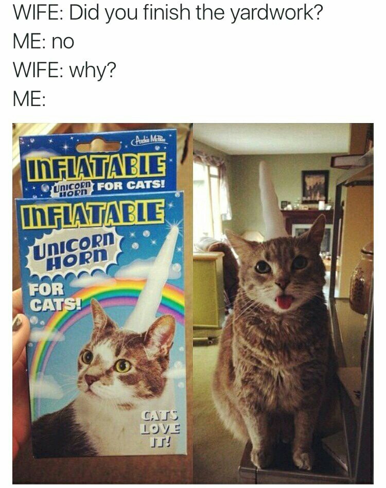 Fabulous - Meme by Tweet :) Memedroid