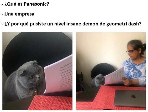 que es Panasonic .-. - Meme subido por rayanelcrack :) Memedroid