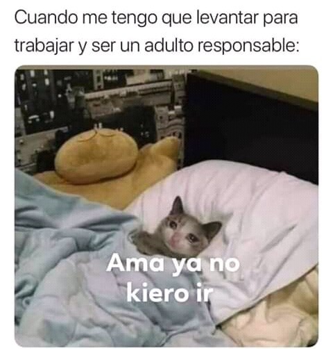 Que flojera... - Meme subido por Bite_Skull_Studios :) Memedroid