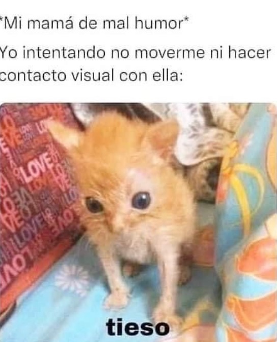 Top memes de Tieso en español :) Memedroid