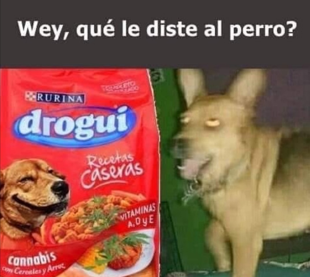 Trauma con la cara del perro - Meme subido por Norecuerdo :) Memedroid
