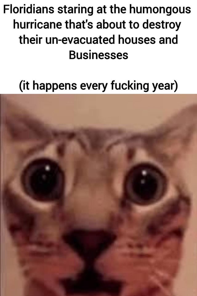 The Funniest Hurricane Memes: From Classics to the Latest Ones