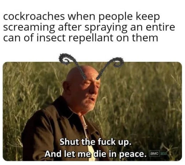 dark cockroach moment - Meme subido por abheek_dota :) Memedroid