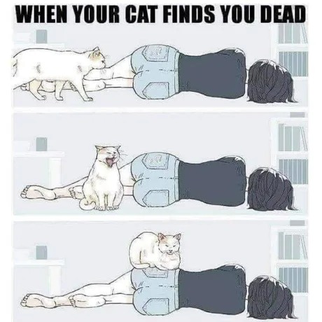 The Latest Memes :) Memedroid