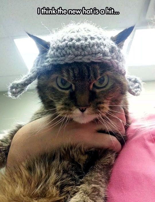 Best Seller *** - Meme by HaiLjesus :) Memedroid