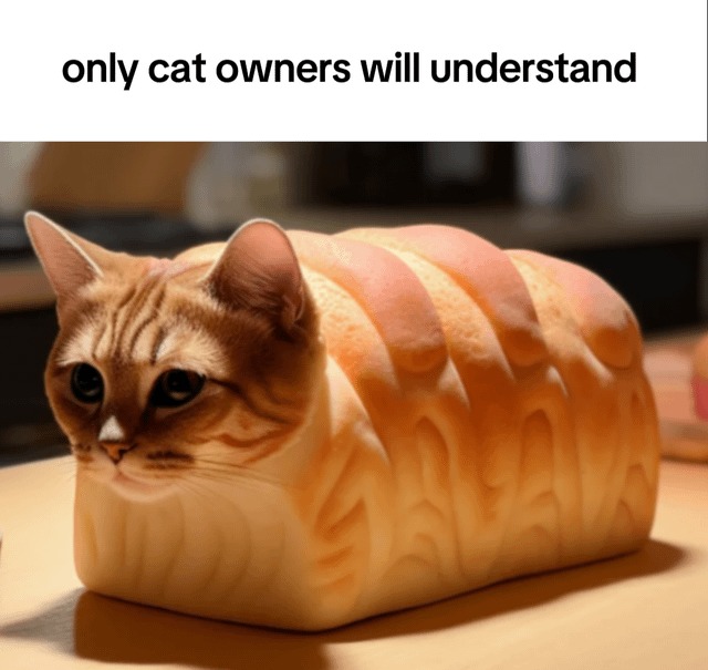 The best Cursed memes :) Memedroid