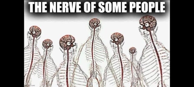 The best Literal memes :) Memedroid