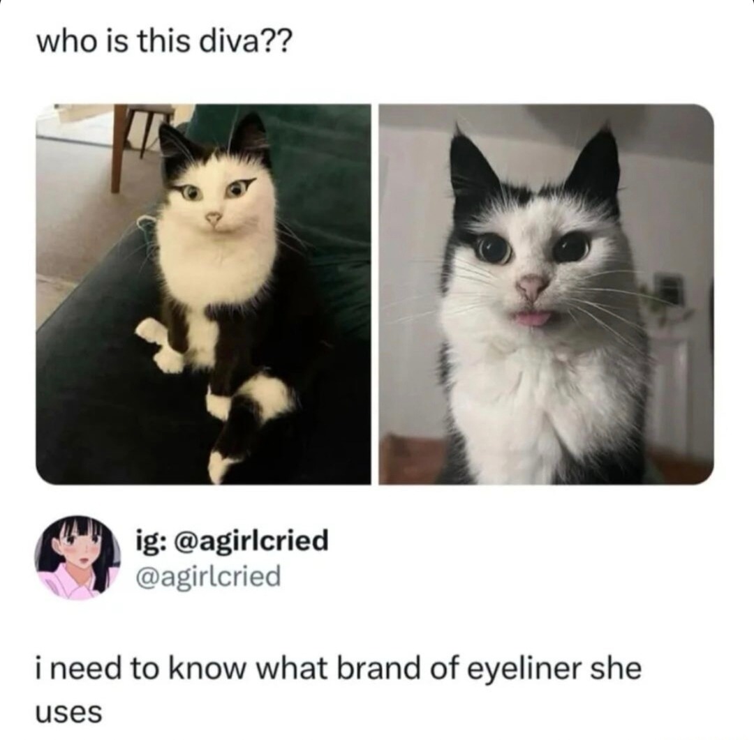 Man Diva Memes Diva Boy GIFs | Tenor
