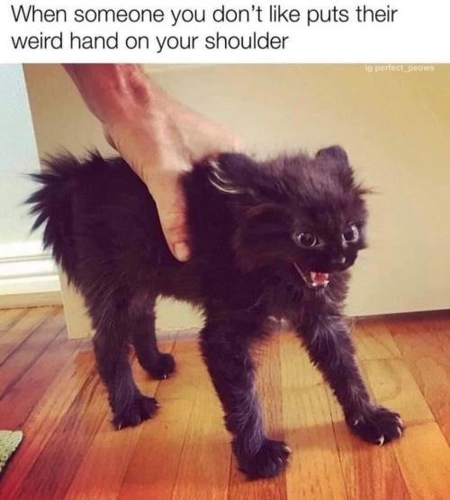 GET YOUR HANDS OFF ME. - Meme by san_antonio :) Memedroid