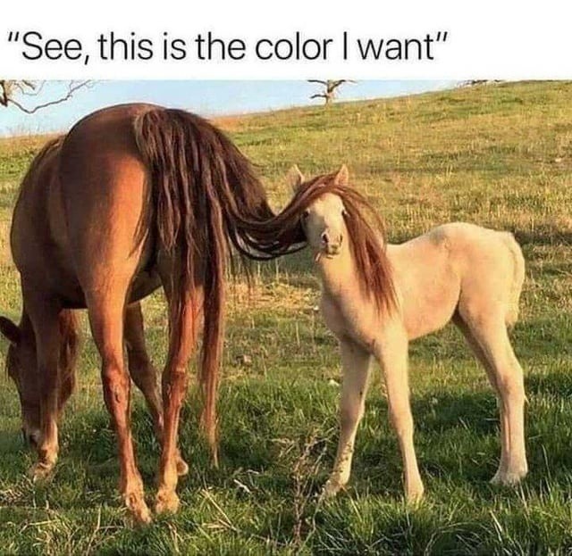 The best Satisfaction memes :) Memedroid