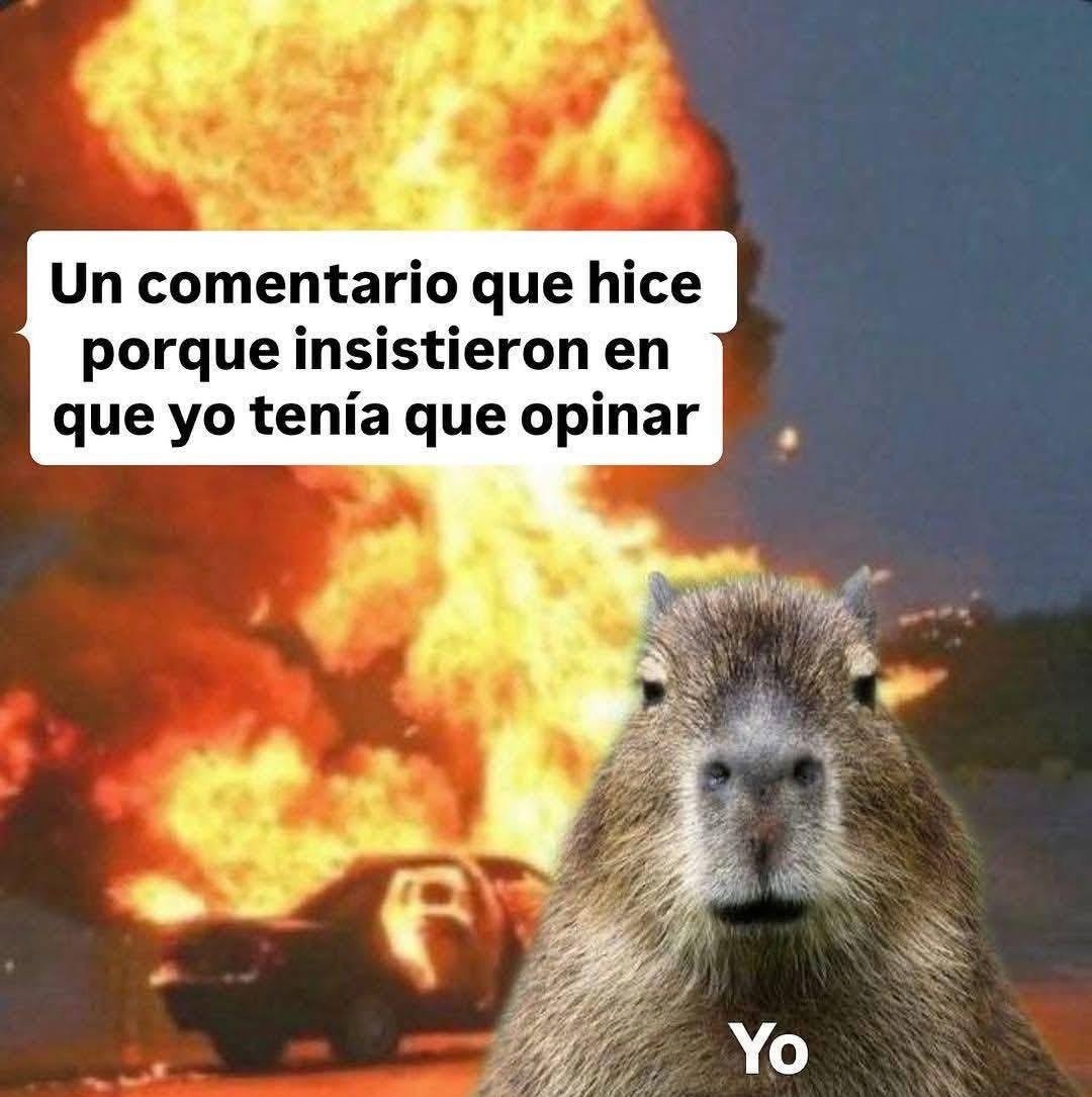 Top memes de Capibara en español :) Memedroid