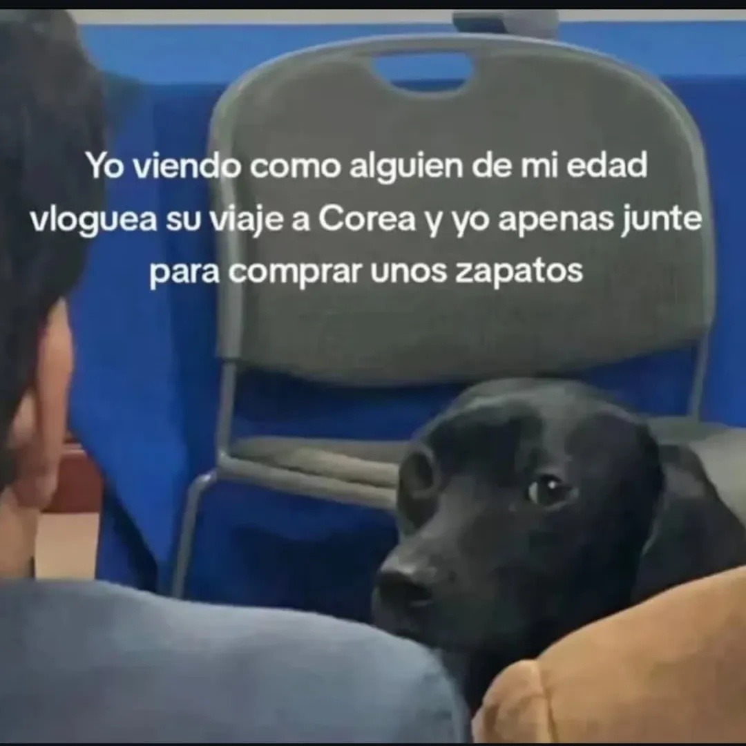 Top memes de Vlogs en español :) Memedroid